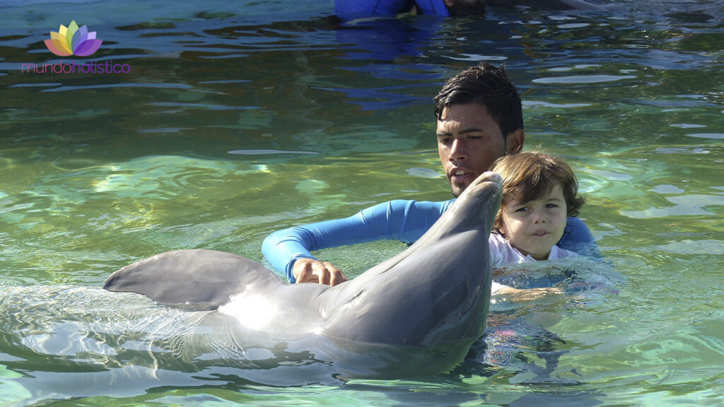 Interacción del ser humano con delfines: Delfinoterapia - Mundo Holístico